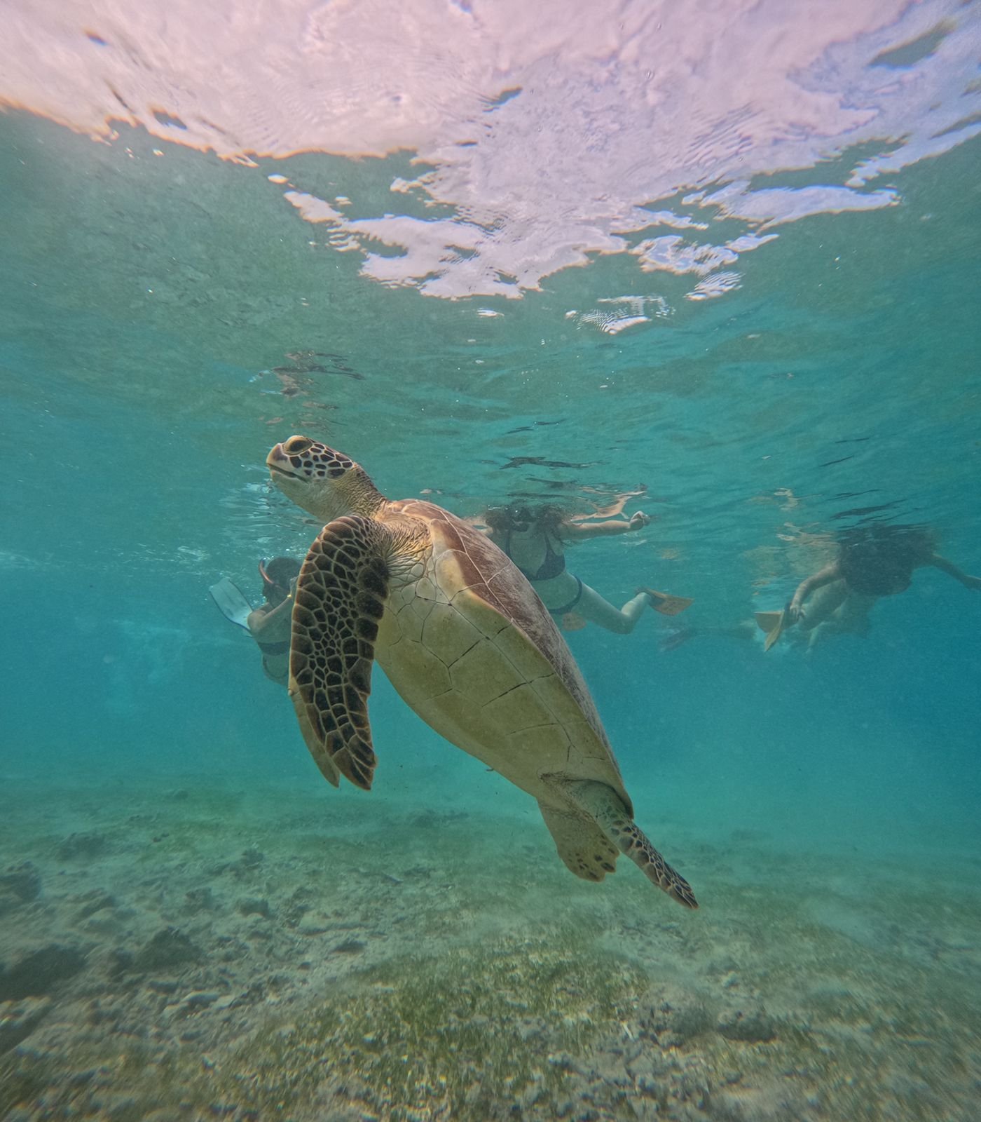 Bale Lombok Travelin.ID - Tour & Travel Lombok
